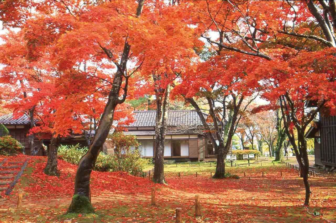 【2020年版】定番の名所から穴場まで！新潟県の紅葉スポット53選 街ニュース 新潟の街ニュース＆ローカル情報 Komachi Web