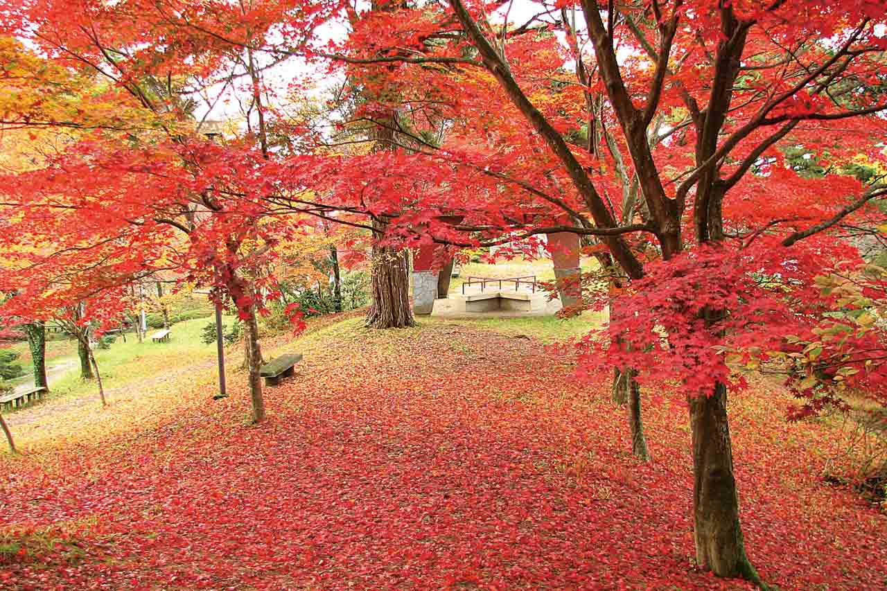 【2020年版】定番の名所から穴場まで！新潟県の紅葉スポット53選 街ニュース 新潟の街ニュース＆ローカル情報 Komachi Web