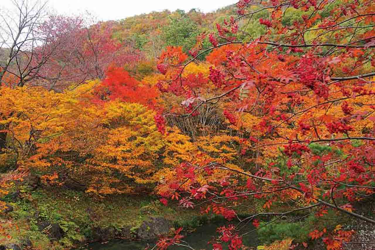 【2020年版】定番の名所から穴場まで！新潟県の紅葉スポット53選 街ニュース 新潟の街ニュース＆ローカル情報 Komachi Web