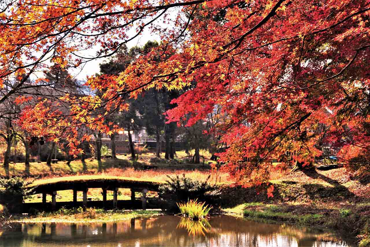 【2020年版】定番の名所から穴場まで！新潟県の紅葉スポット53選 街ニュース 新潟の街ニュース＆ローカル情報 Komachi Web