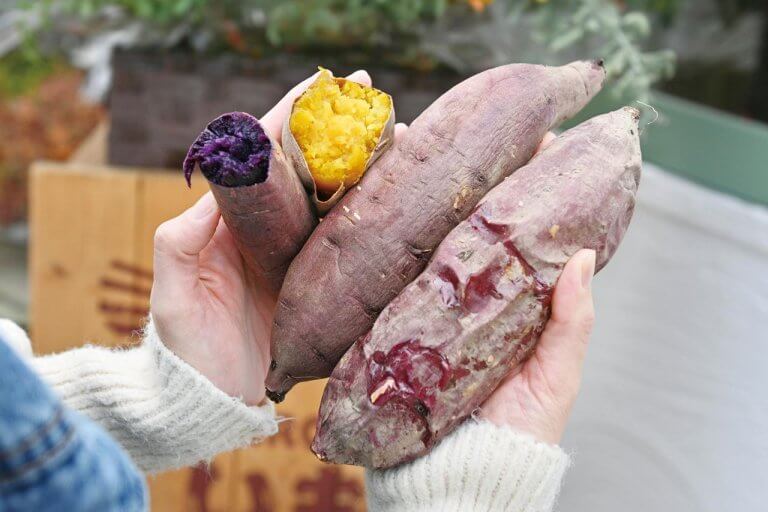 新潟市南区に焼き芋専門店「SHIRONEいもBugyo」オープン 県内外の旬な品種が日替わりで登場の写真1 | 街ニュース | 新潟の街 ...