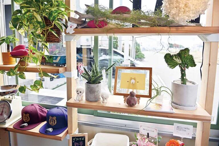 新潟市南区に焼き芋専門店「SHIRONEいもBugyo」オープン 県内外の旬な品種が日替わりで登場の写真5 | 街ニュース | 新潟の街 ...